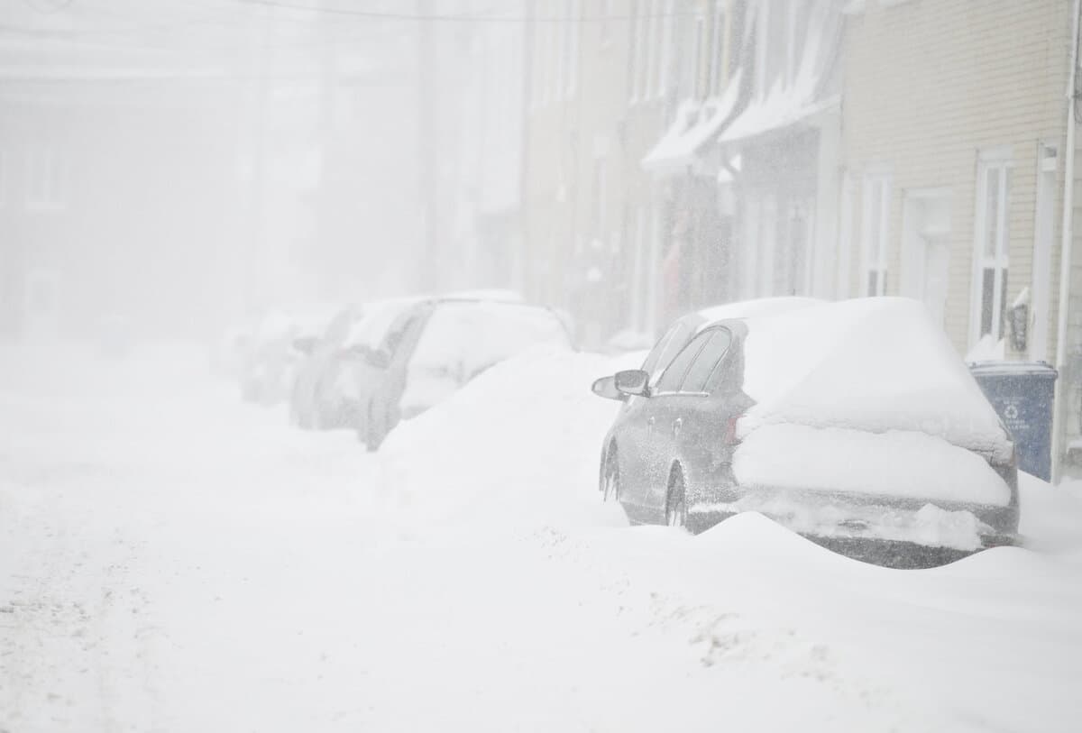 Jusqu’à 50 cm de neige: voici les moments clés pour votre région | TVA ...