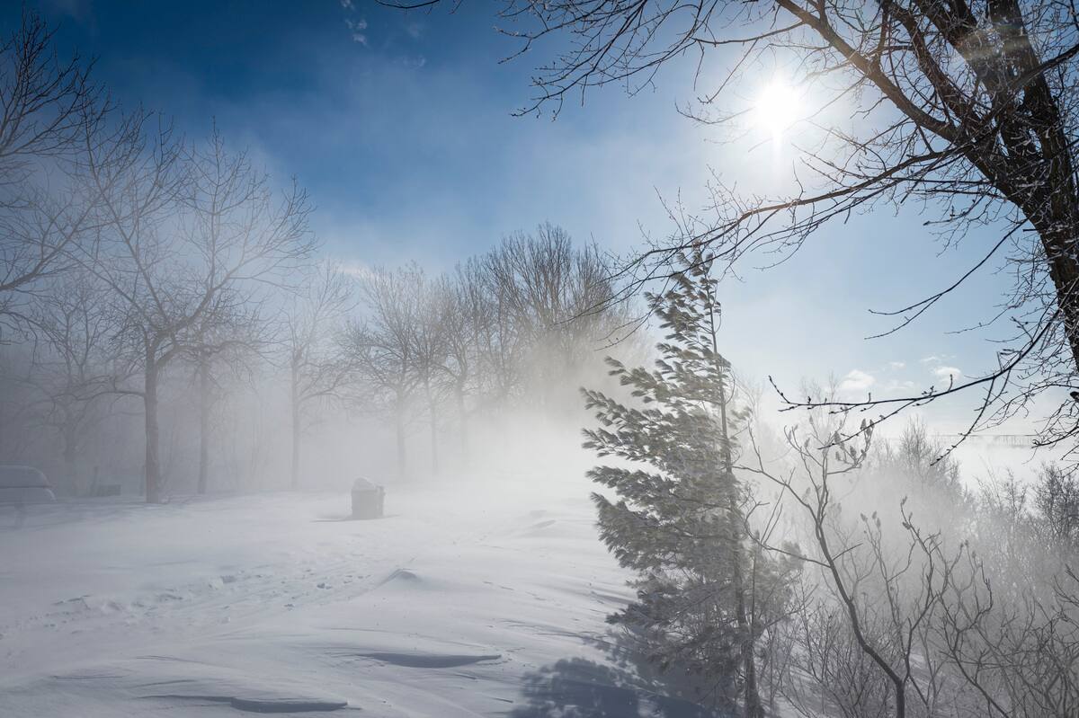 Un quatrième motoneigiste périt en trois jours | TVA Nouvelles