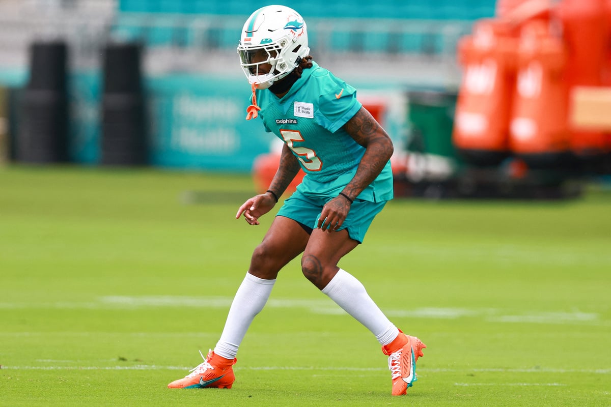 Une lourde perte pour les Dolphins | Le Journal de Québec