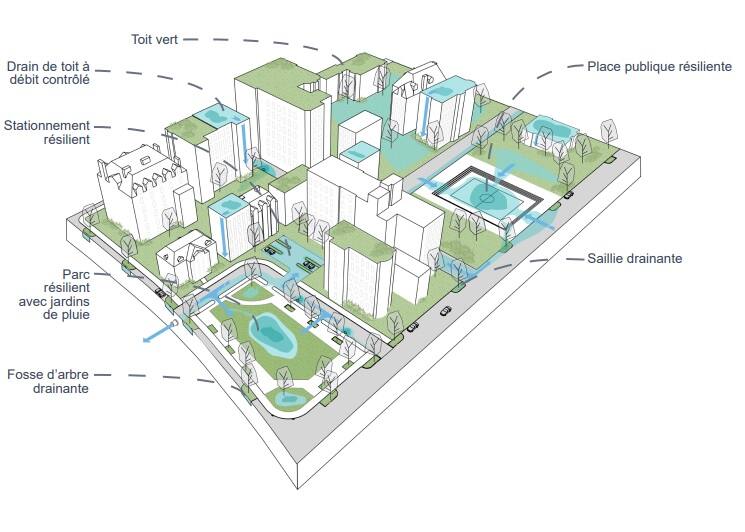 Les villes-éponges pour lutter contre les changements climatiques | TVA ...