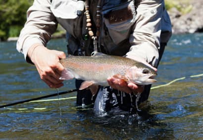 Les poissons du Québec, bons à manger? | Coup de pouce