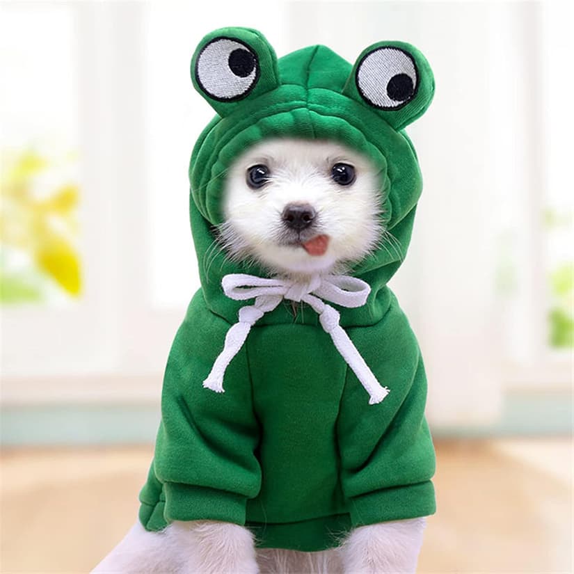 11 costumes d'Halloween pour déguiser votre animal | Coup de pouce