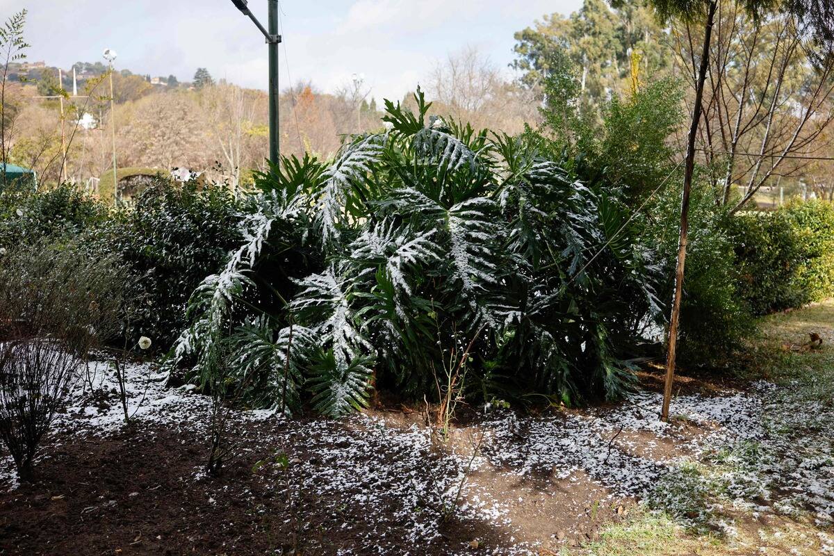 [À VOIR] De rares chutes de neige en Afrique du Sud | JDM