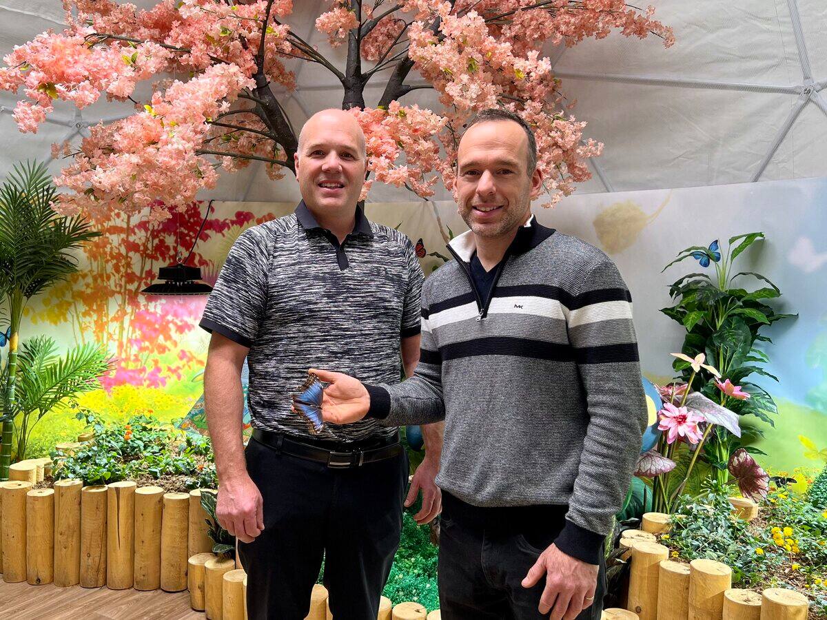 Les papillons sont de retour aux Galeries de la Capitale: BFLY annonce ...