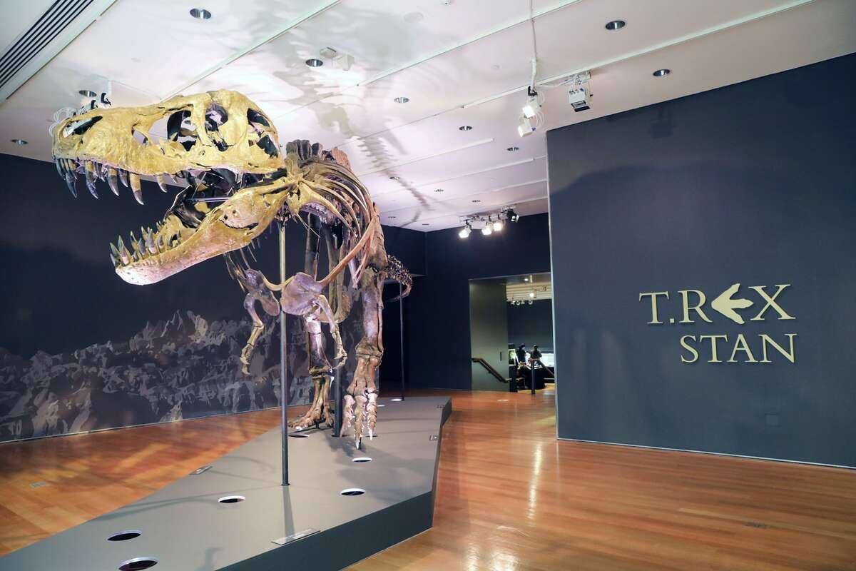 Un T-Rex vendu 31,8 millions de dollars, record pulvérisé pour un ...