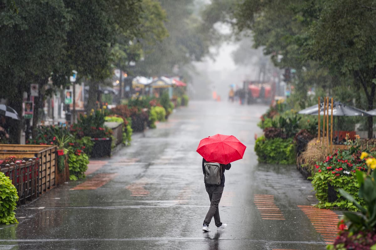 De la pluie et des vents forts attendus mardi au Québec | Flipboard