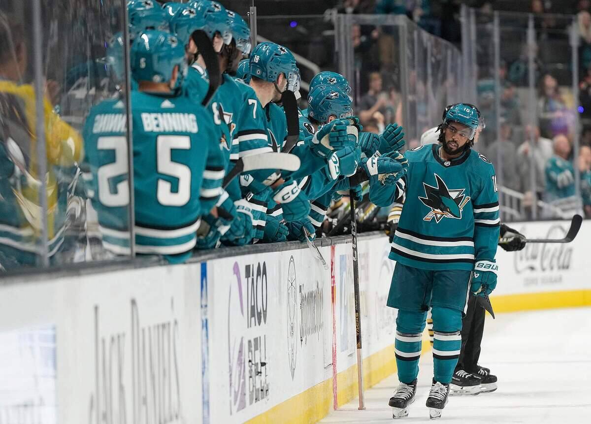 Sharks: «C’est un gros soulagement» | Le Journal de Québec