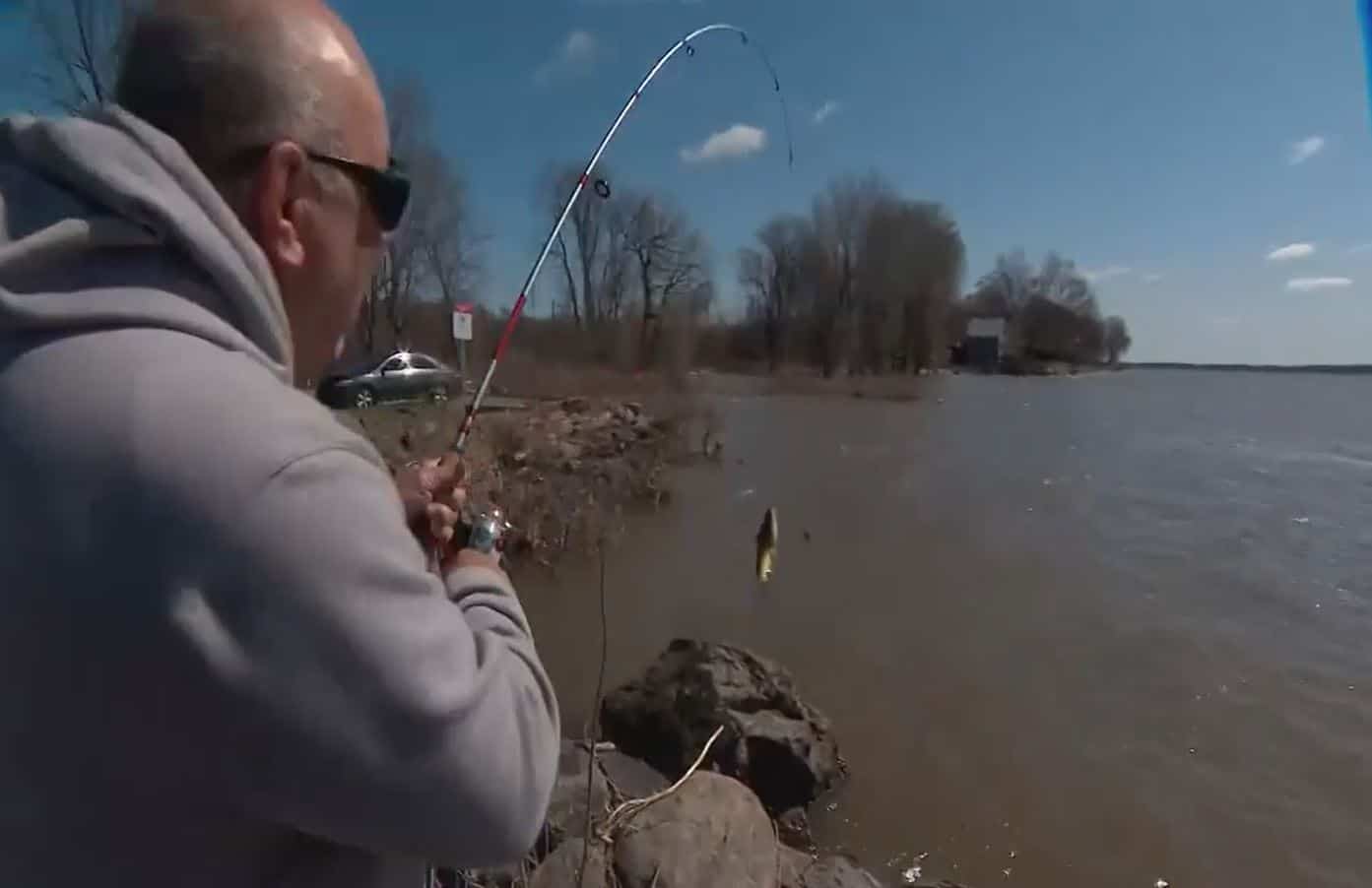 La pêche à la perchaude reste interdite sur le lac Saint-Pierre | TVA ...