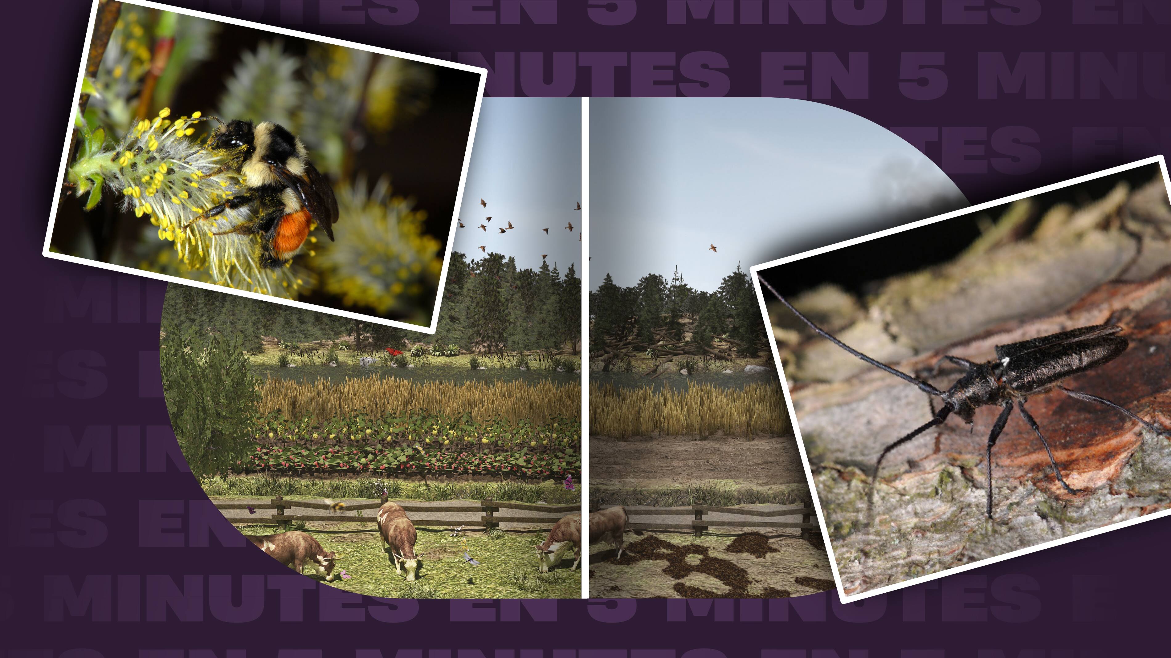 Vivre dans un monde sans insectes | Le Journal de Québec