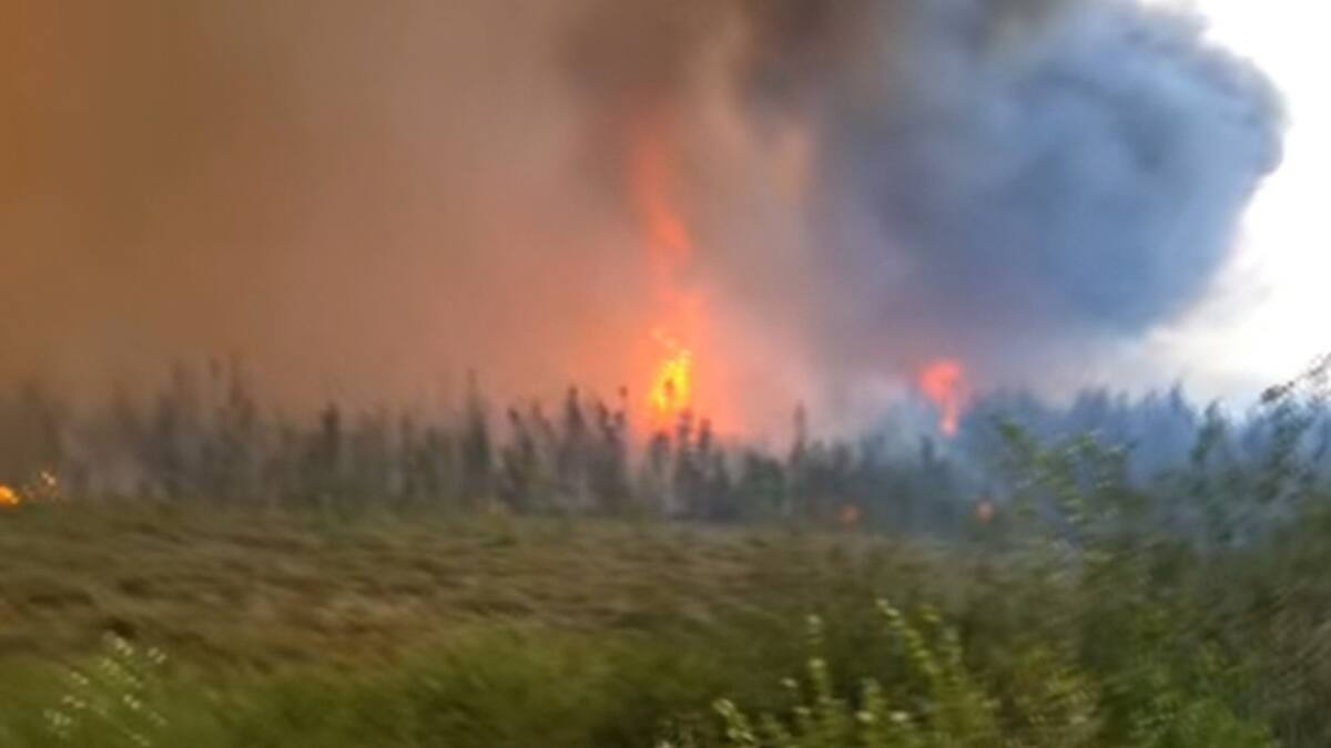 Feux de forêt: plus que 12 incendies actifs en zone intensive au Québec ...