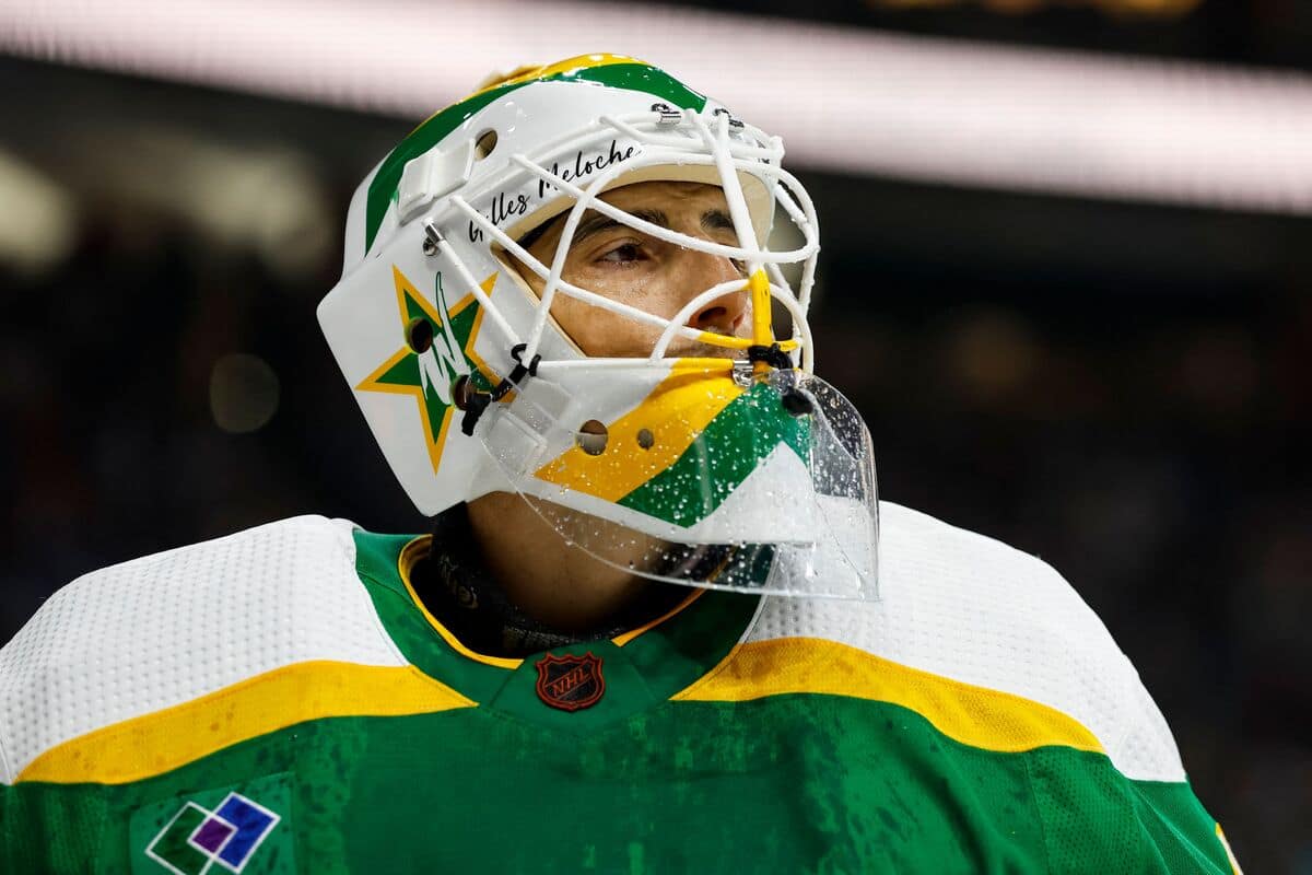 Fleury quitte l'entourage du Wild - TVA Sports