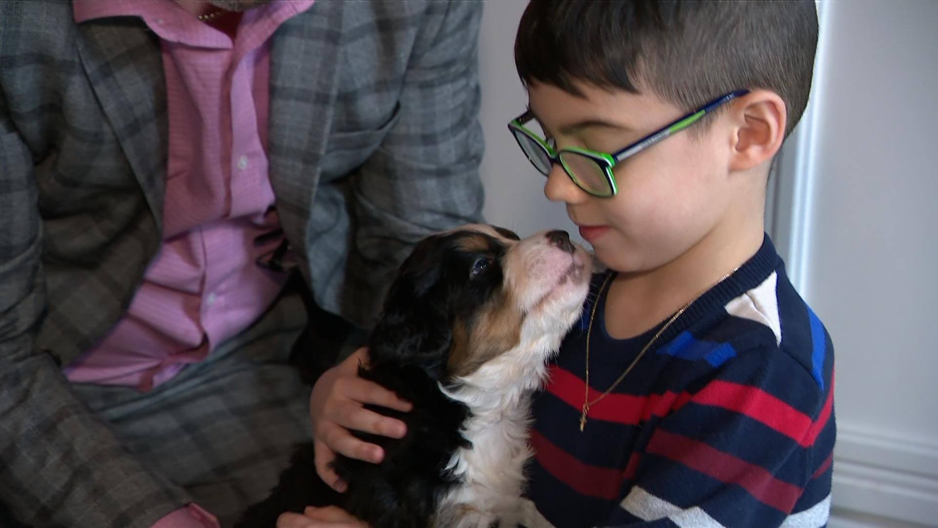 Un chien d'assistance pour un jeune enfant autiste | TVA Nouvelles