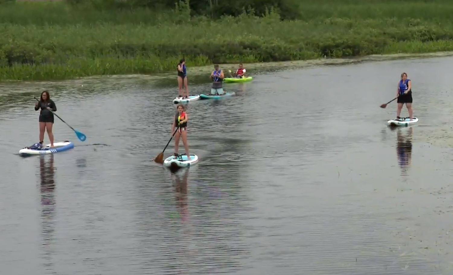 Un marais menacé par la popularité du kayak à Magog | JDM