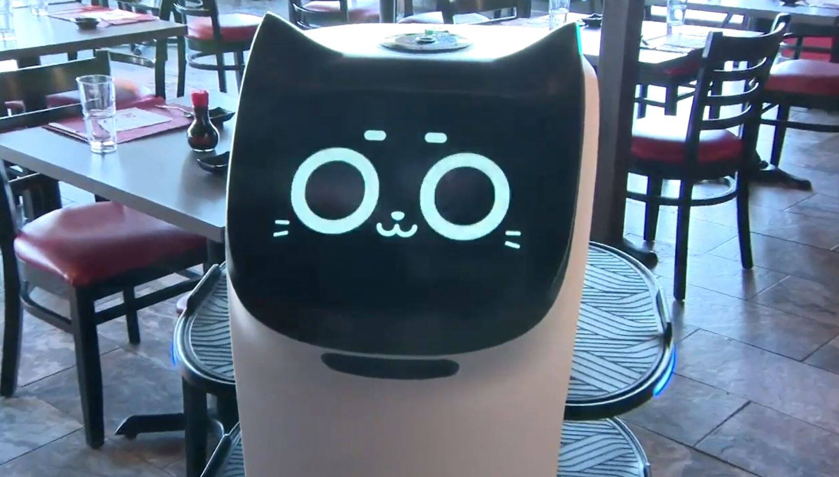 Un robot pour vous servir au restaurant | JDM