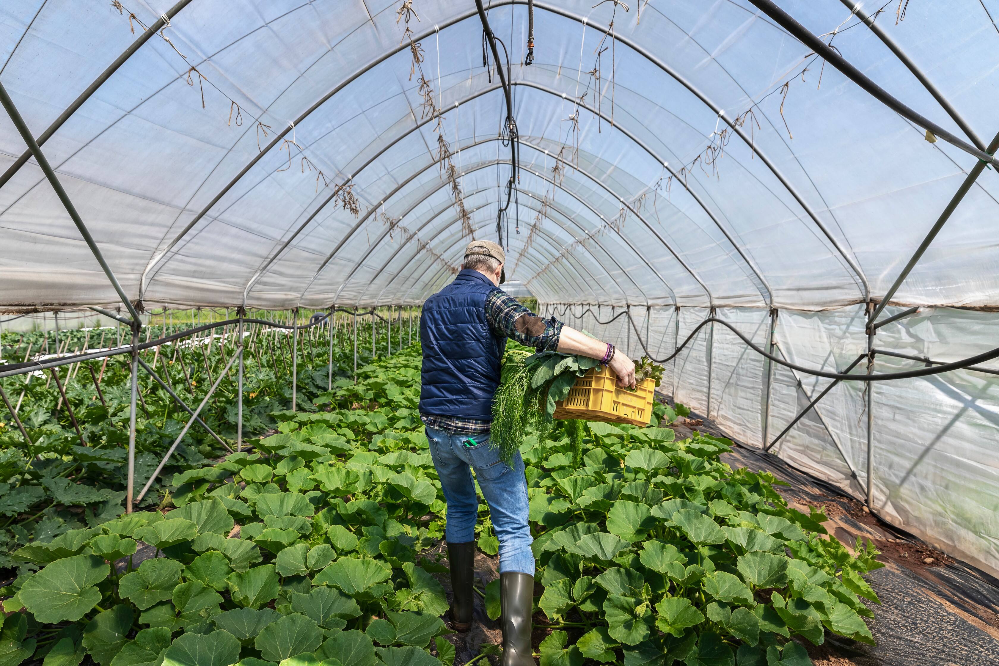 Autonomie alimentaire: oui, mais durable | JDM