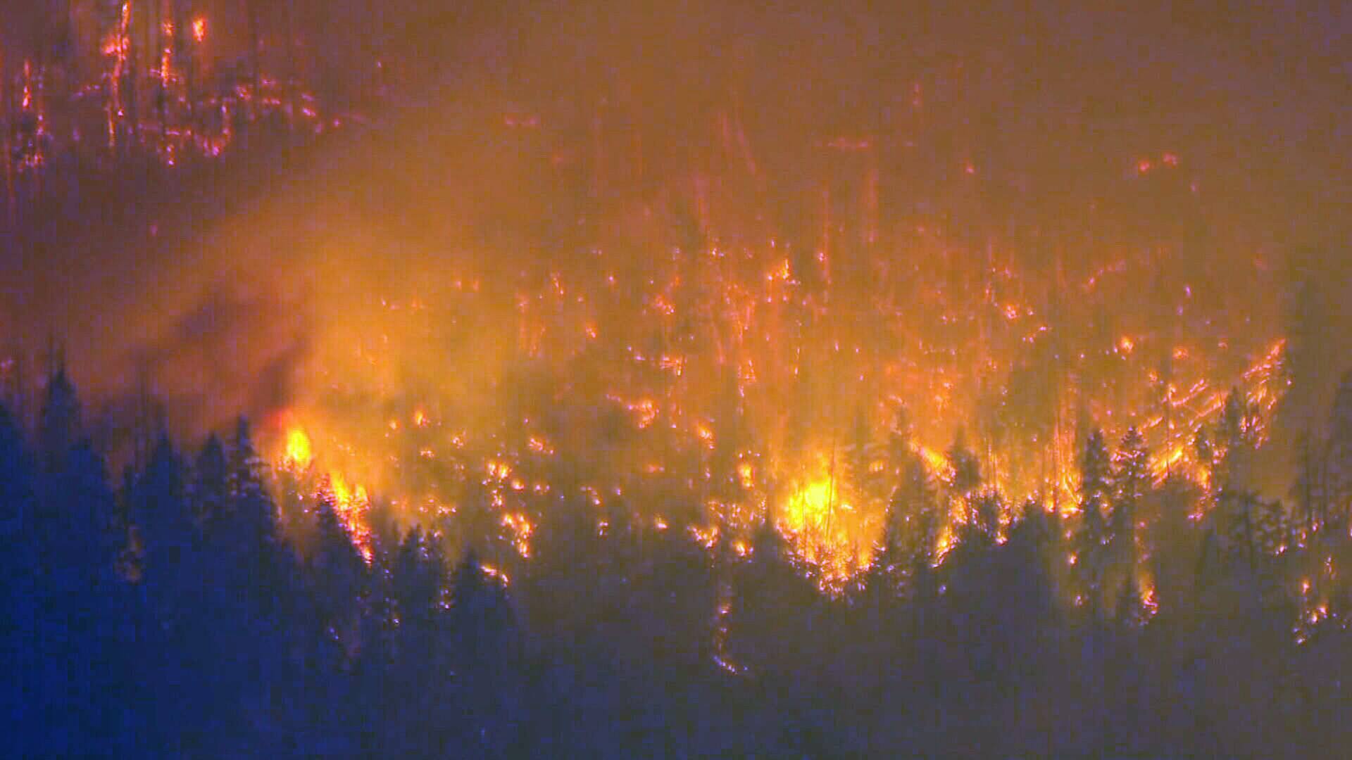 Feux de forêt à Jasper: 400 pompiers internationaux en route pour ...