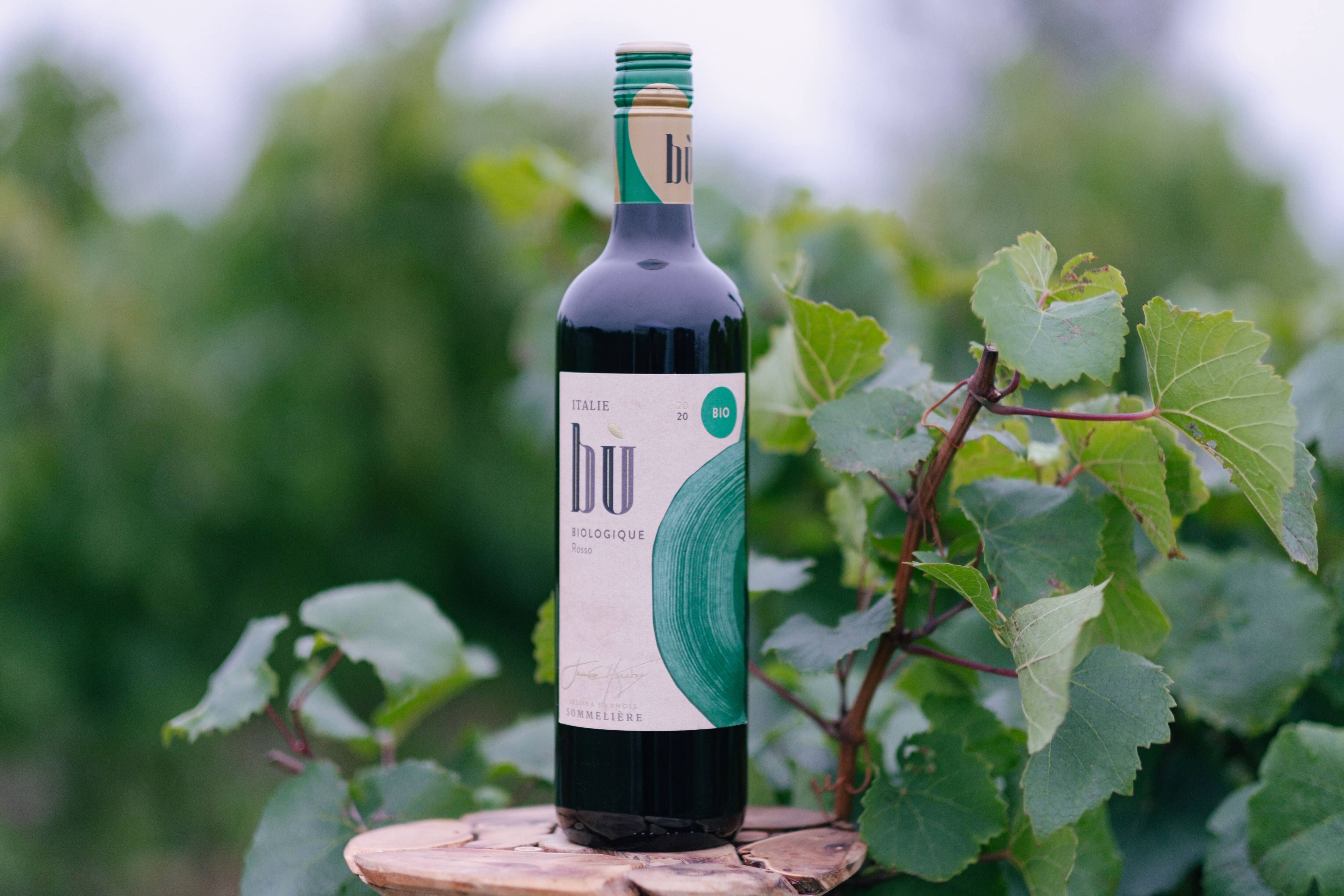 Voici des vins biologiques à découvrir en épicerie | Salut Bonjour