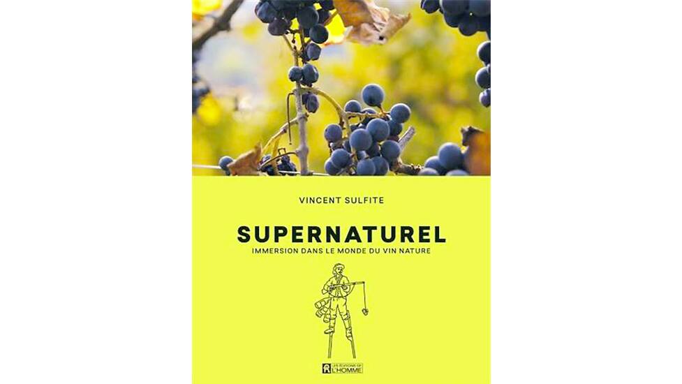 Le monde du vin à découvrir | Le Journal de Montréal