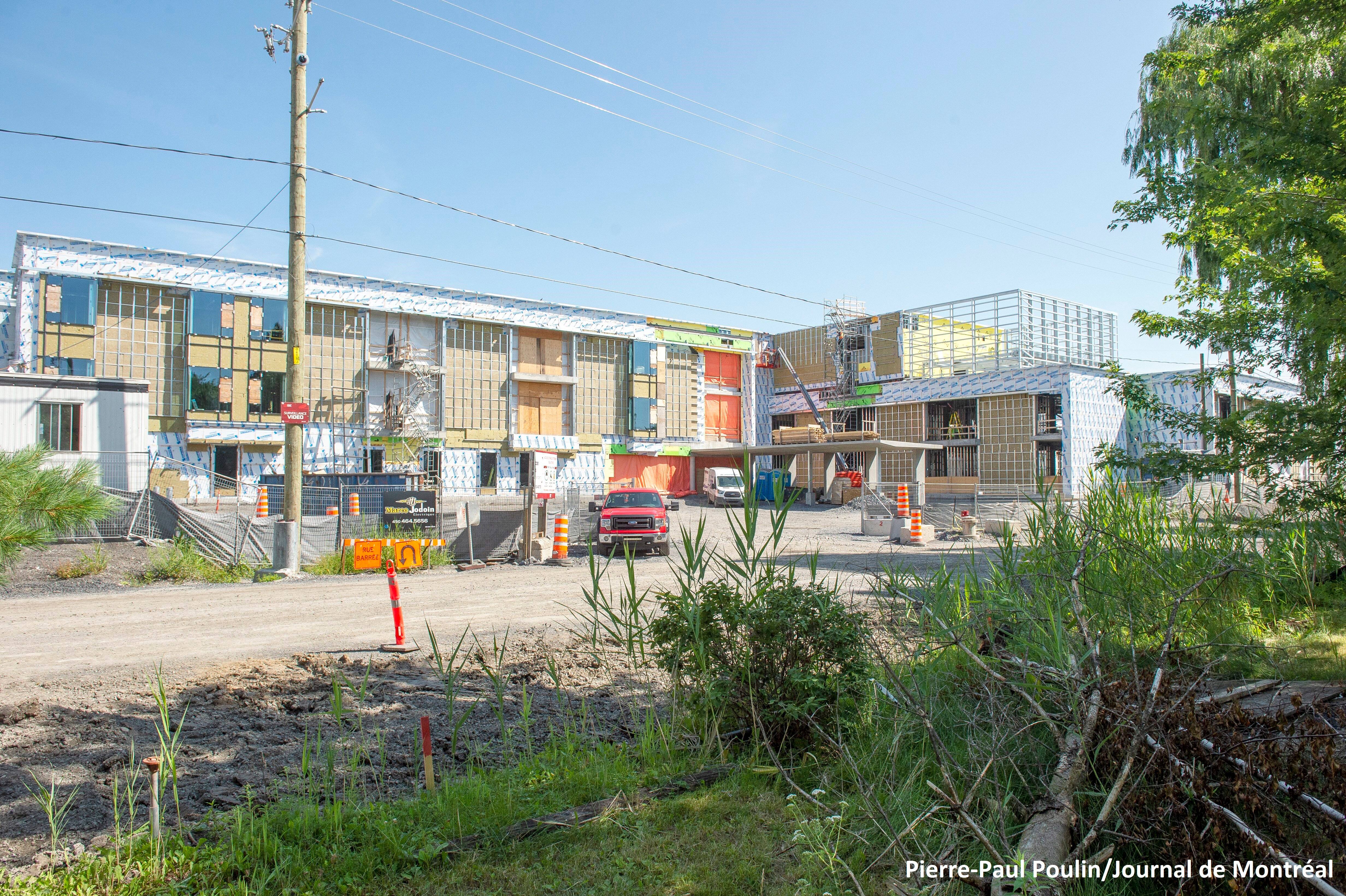 Québec accepte presque toutes les demandes de destruction de milieux ...