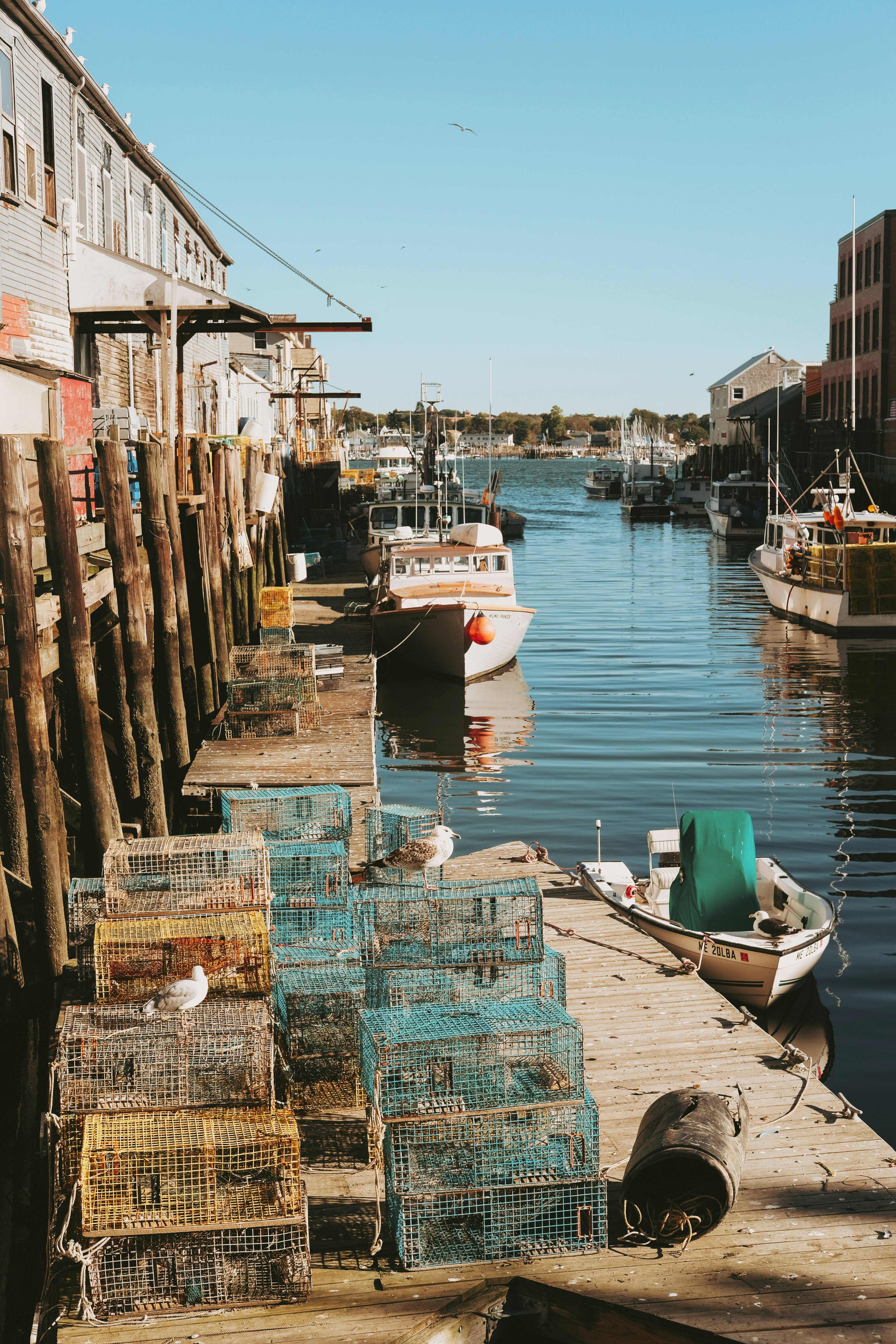 6 choses gratuites à faire à Portland, dans le Maine | JDM