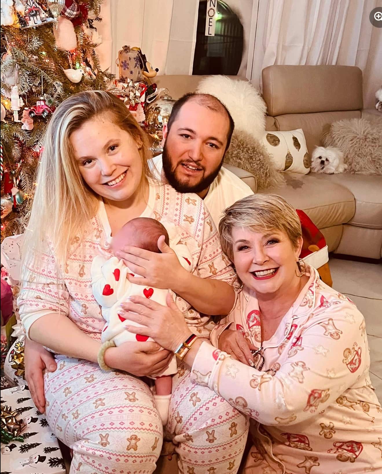 [PHOTOS] Nathalie Simard présente sa petite-fille pour Noël | JDQ