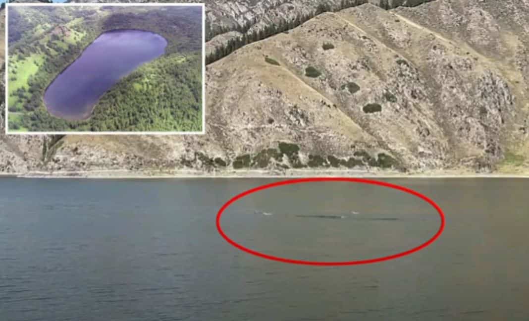 Mysterious Loch Ness Monster-like Creature Filmed in China's Tianchi ...