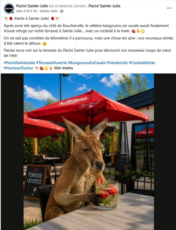 Walmart, Pacini, Mercedes, salon de bronzage: le kangourou en cavale ...