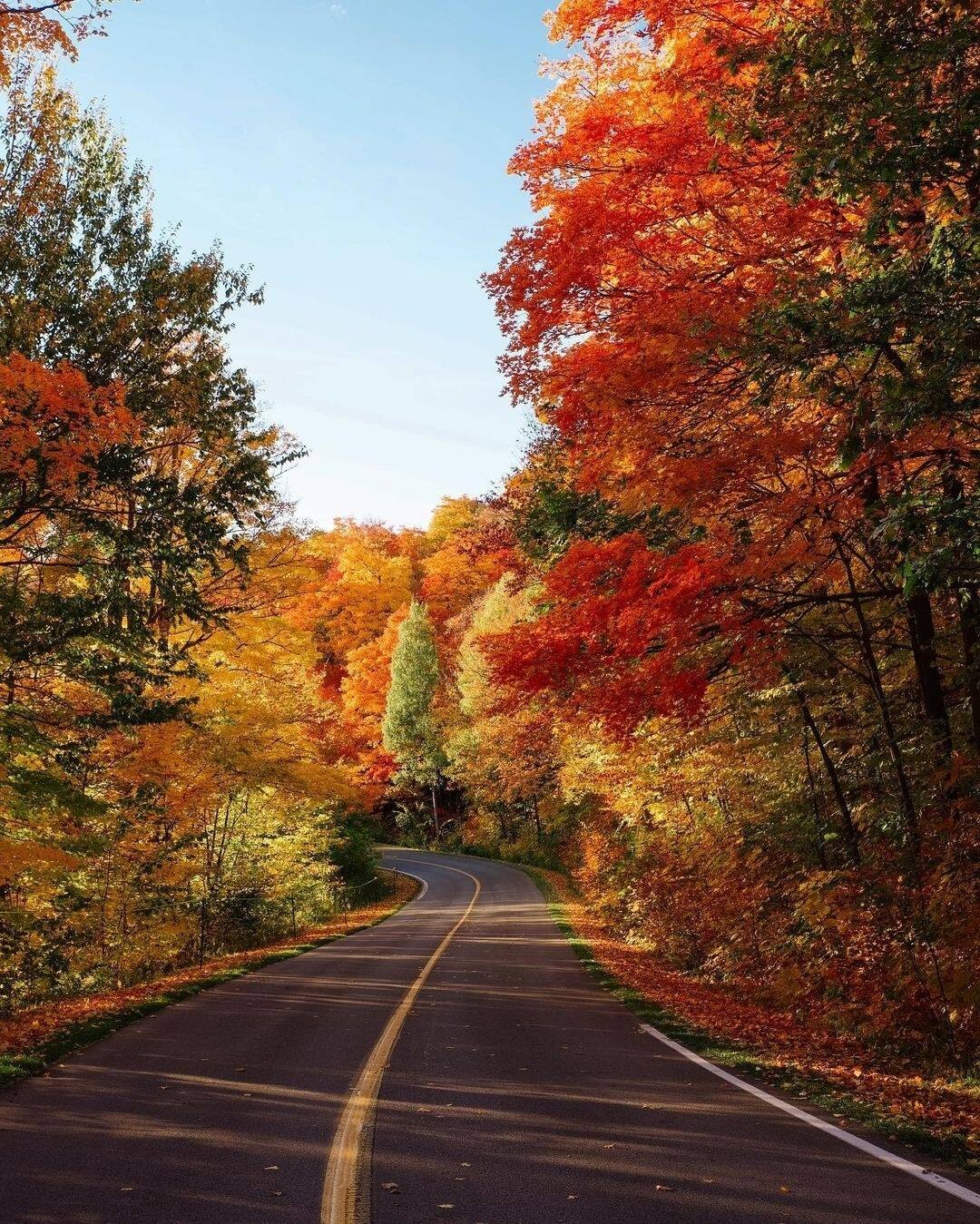 7 endroits gratuits où admirer les couleurs d’automne | JDQ