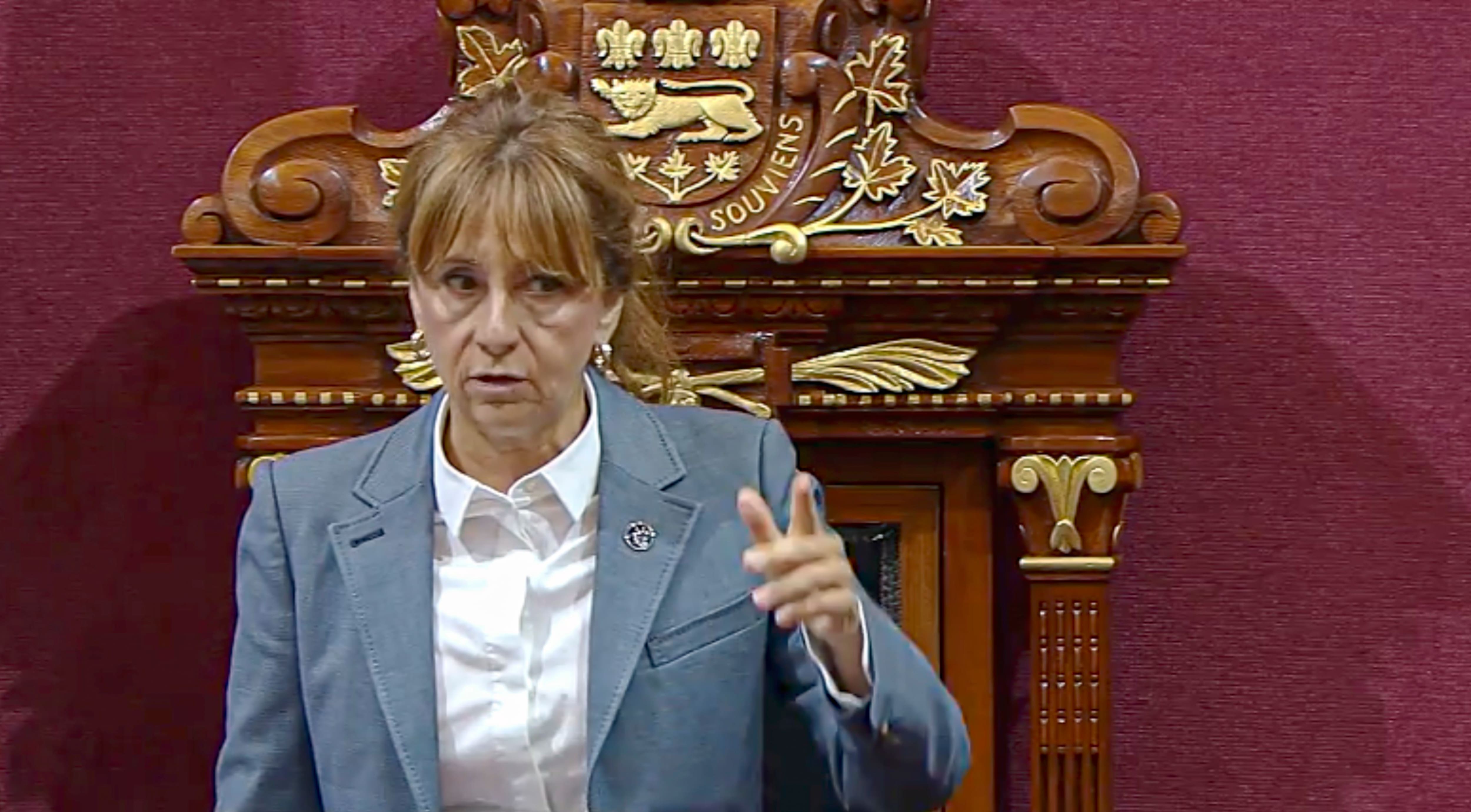 Dictionnaire des propos interdits: 408 mots à l’index au Parlement | TVA Nouvelles