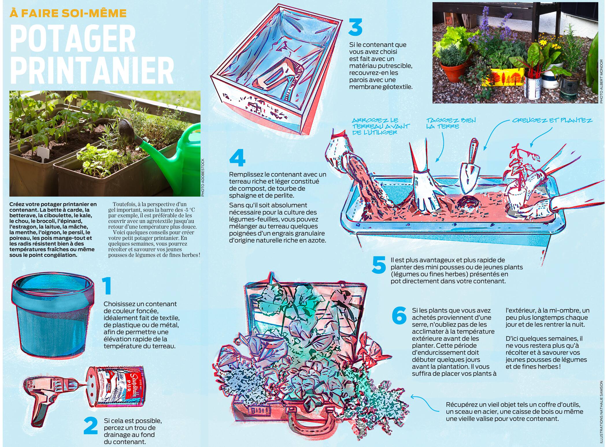 Potager printanier à faire soi-même | Le Journal de Montréal