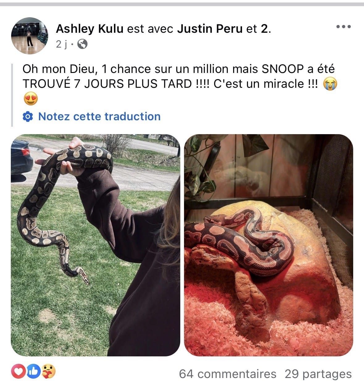«C’est un miracle!»: le python royal en cavale à Ottawa retrouvé sain ...