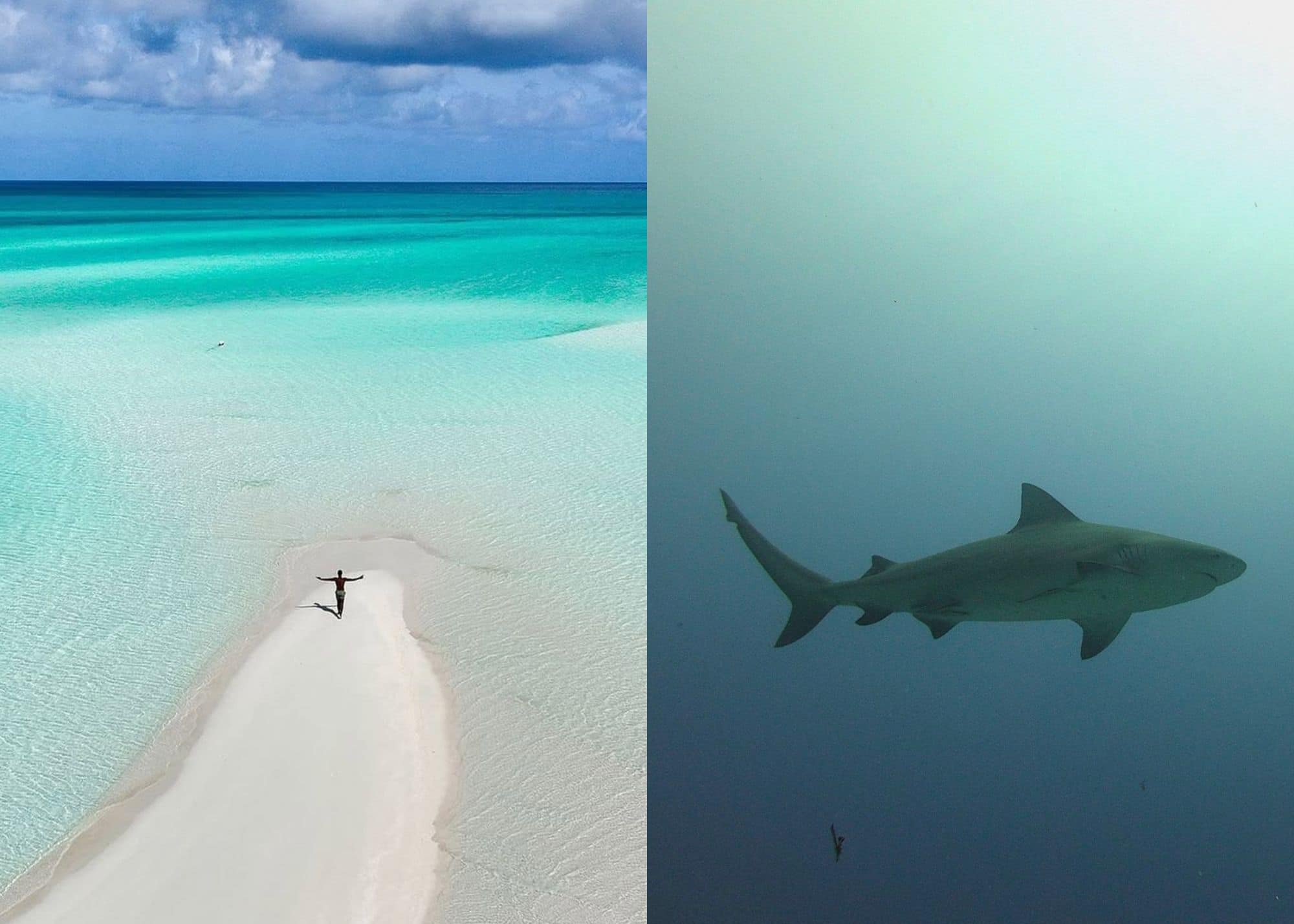 Une touriste québécoise perd ses deux mains après une violente attaque ...