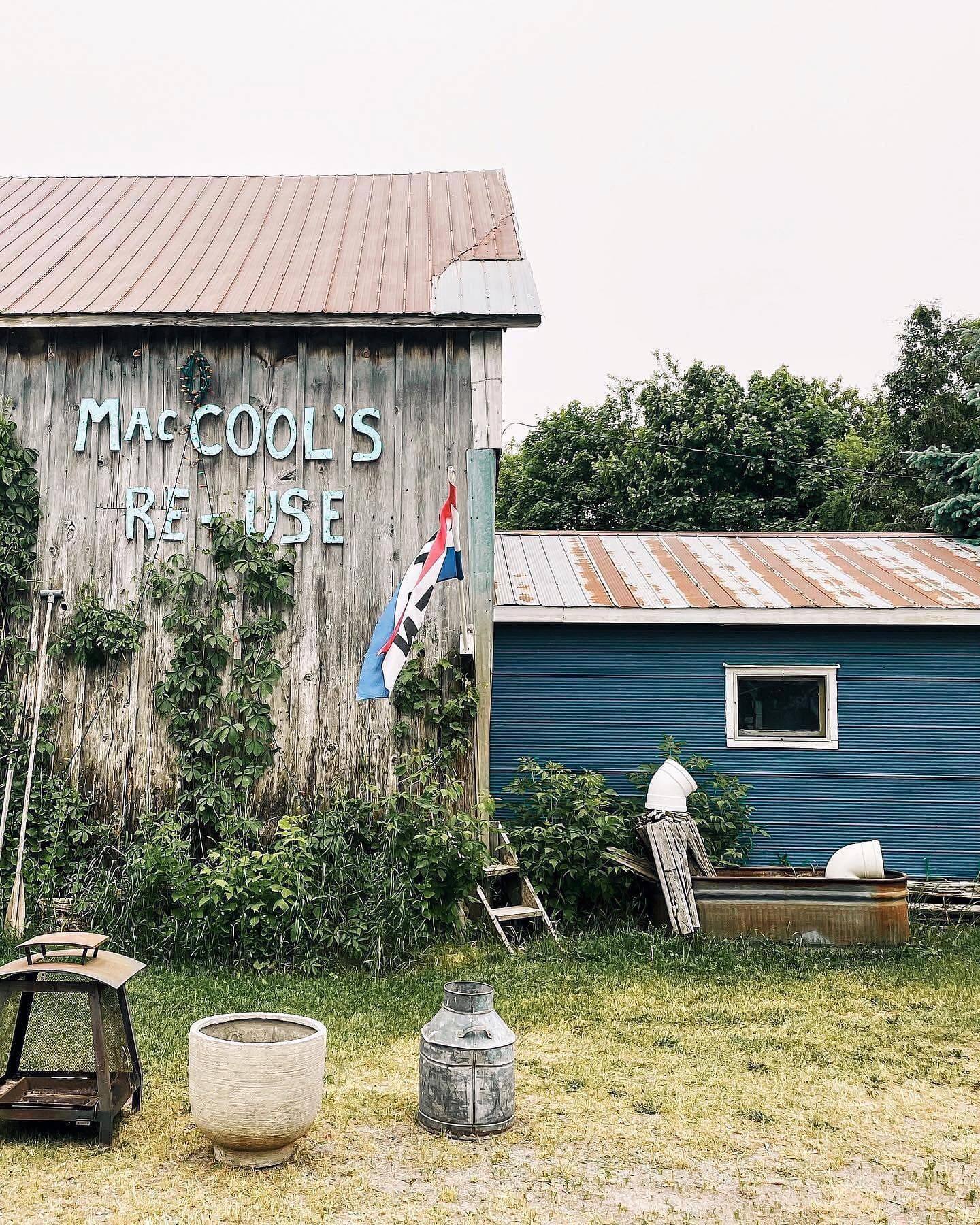 Sandbanks: 21 choses à faire dans le Prince Edward County en Ontario | JDM