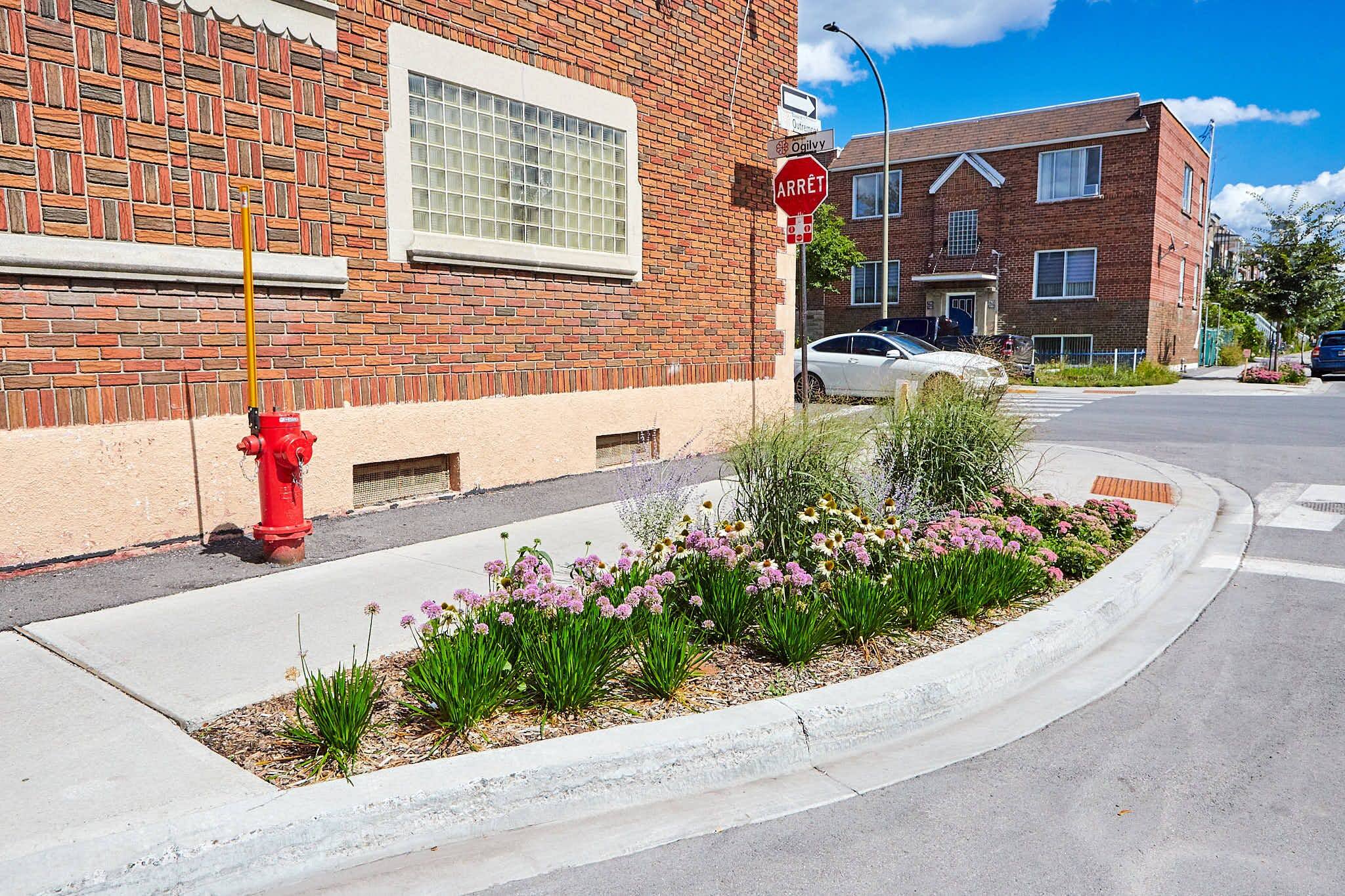 4 mesures concrètes à mettre en place pour sauver la vie de piétons ...