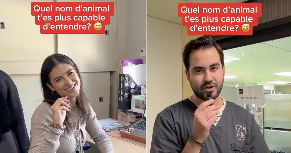 Des employés de la SPCA disent quels sont les noms d’animaux qu’ils ne ...