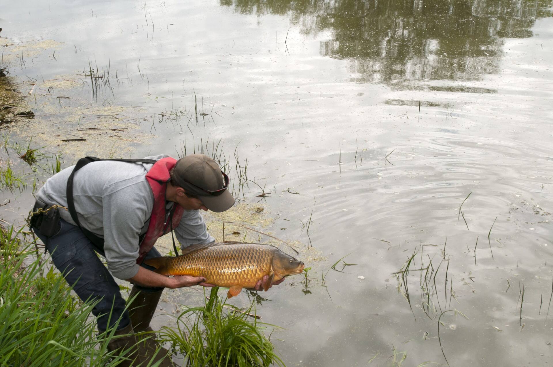 Profitez-en pour aller pêcher à gué | Le Journal de Montréal