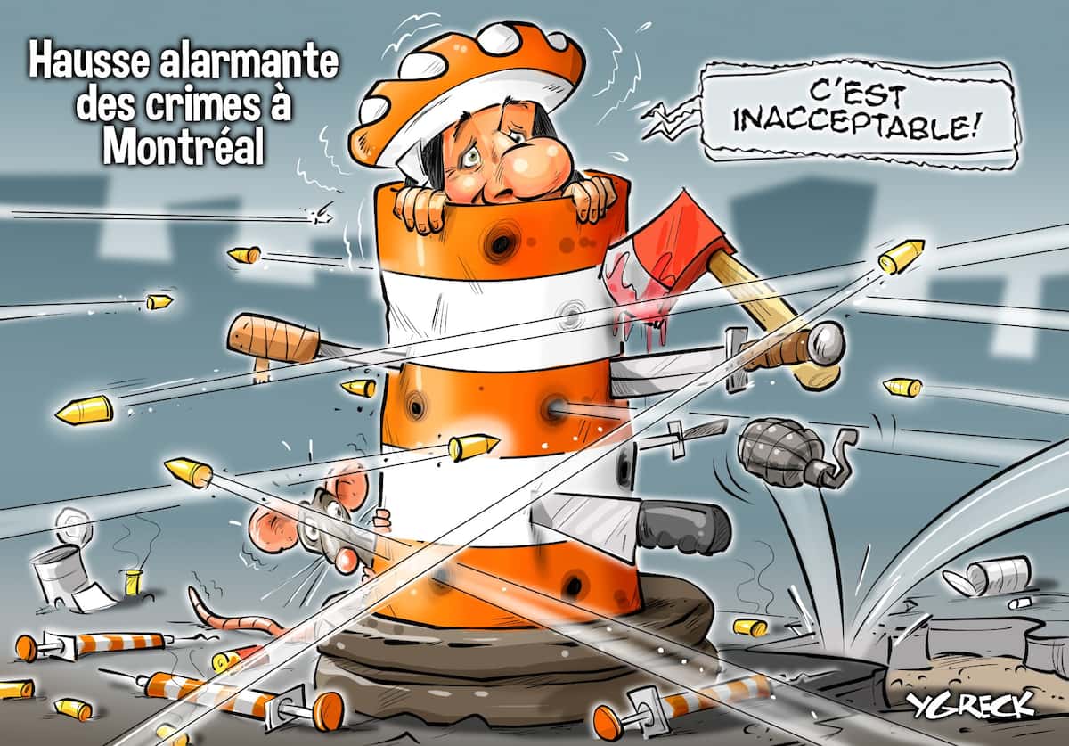 La Caricature Dygreck En Vidéo Plante Réagit à La Hausse De La