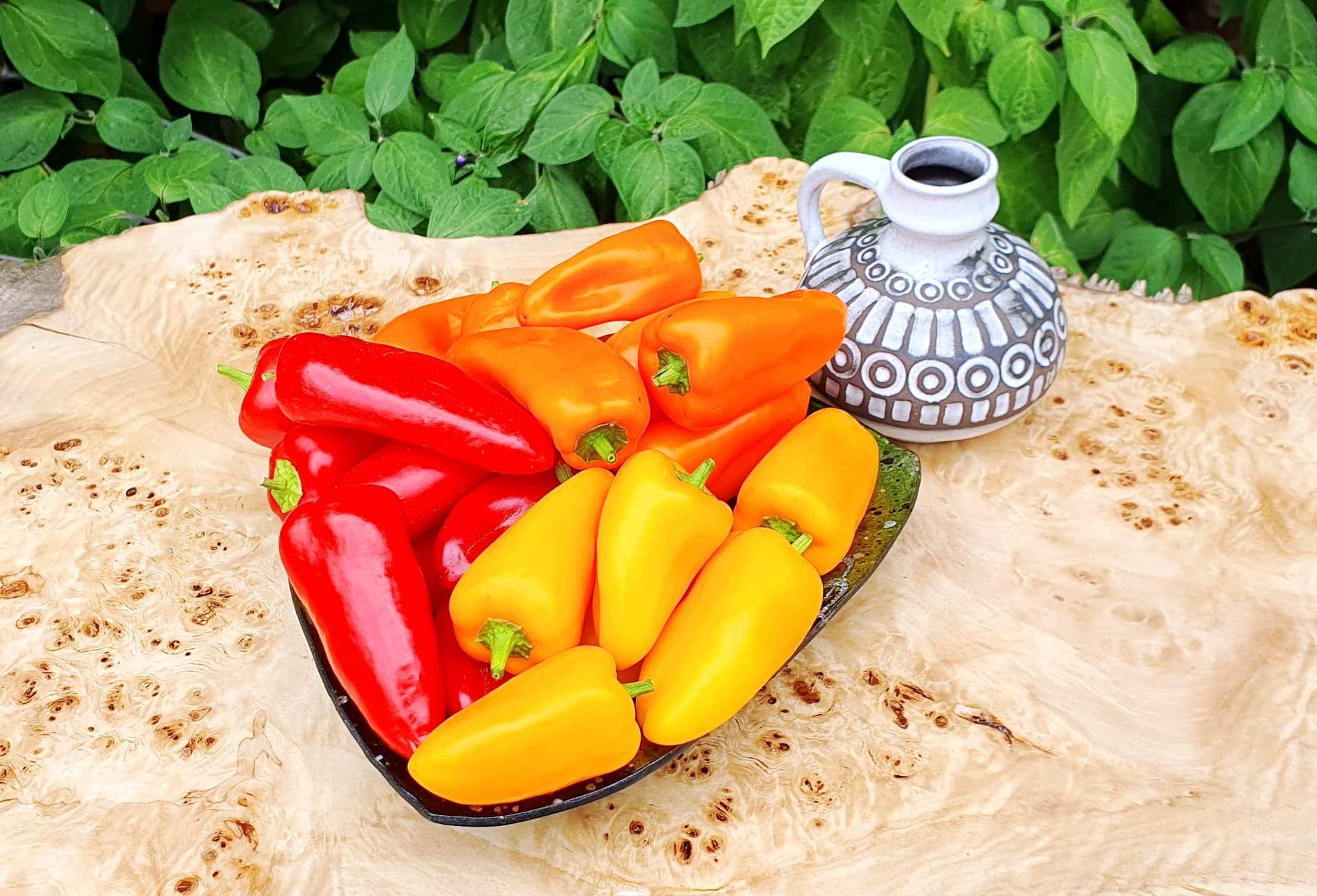 Ce qu'il faut savoir avant de cultiver des mini-poivrons | JDM