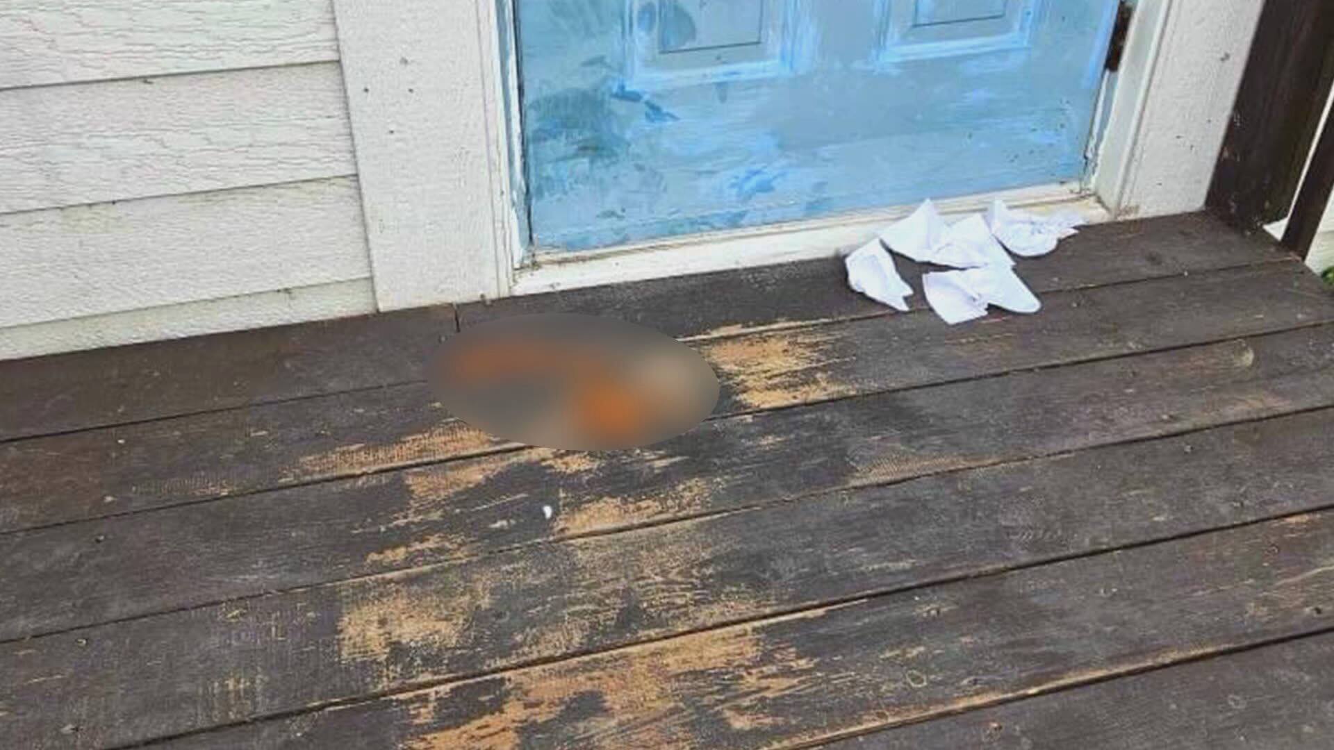 IMAGES | Excréments et incendies: des actes de vandalisme se ...