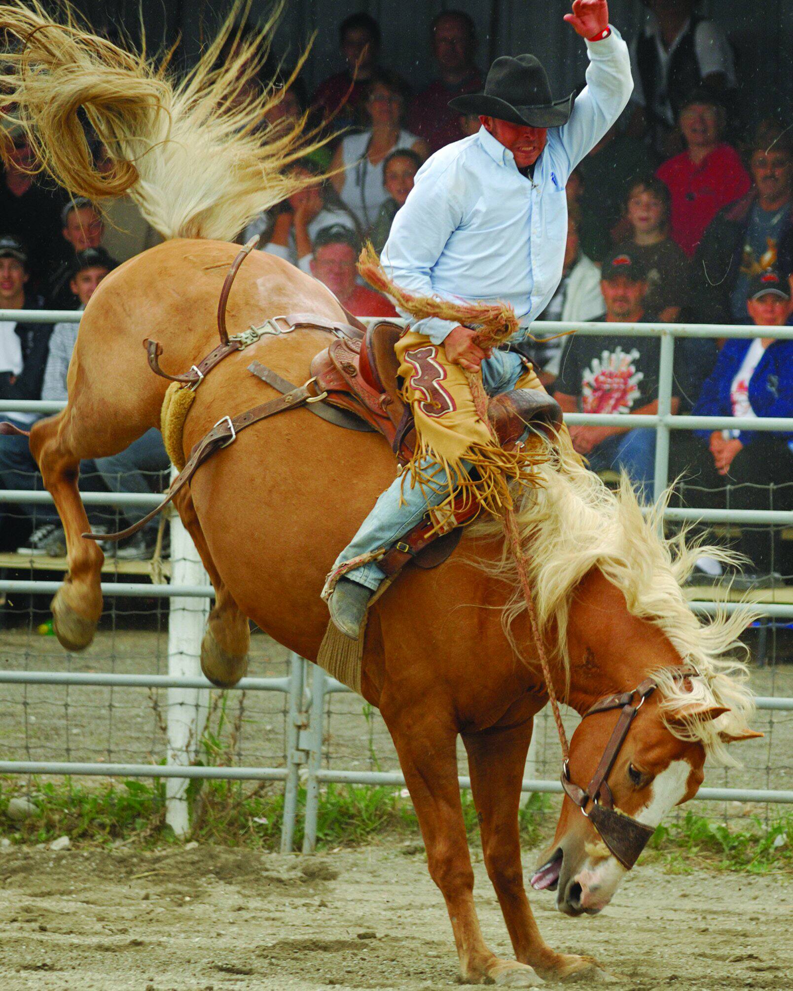 Venez vivre l’effervescence du Festival Western de Saint-Quentin, au ...