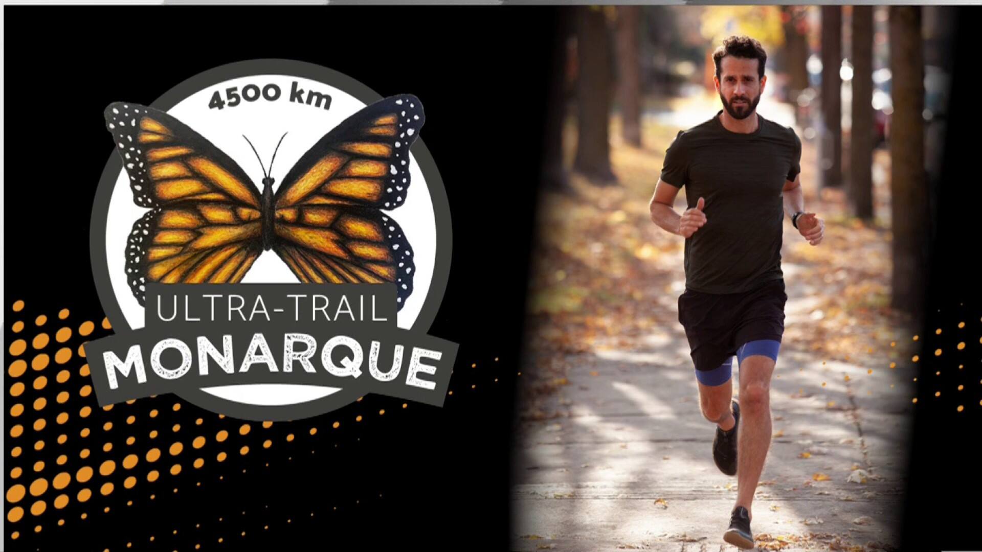 Un ultramarathon de 4500km pour la préservation des monarques | Salut ...