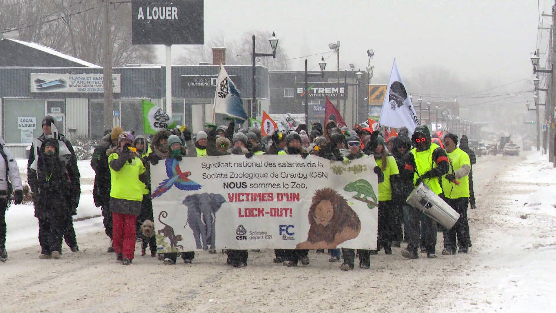 Six mois de lock-out au Zoo de Granby | JDQ