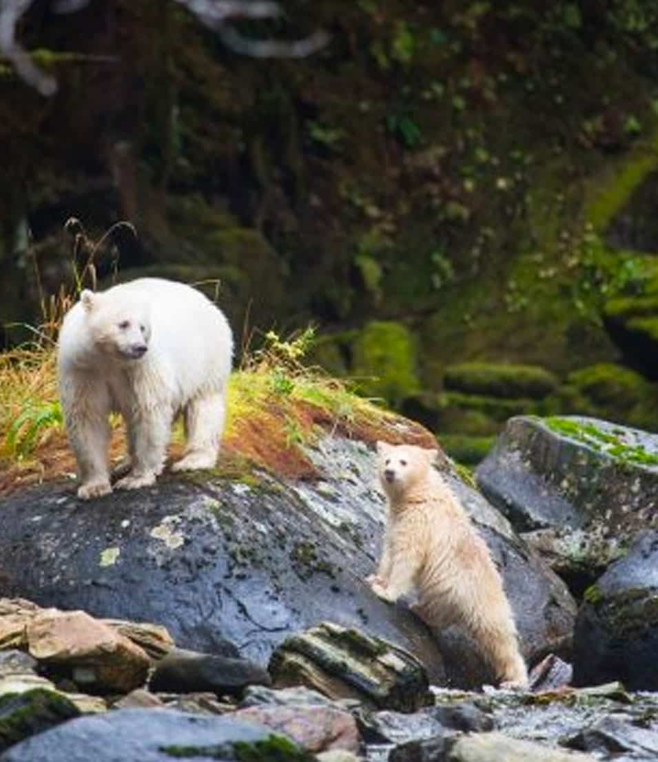 Voici les expériences autochtones les plus WOW à vivre au Canada | JDM