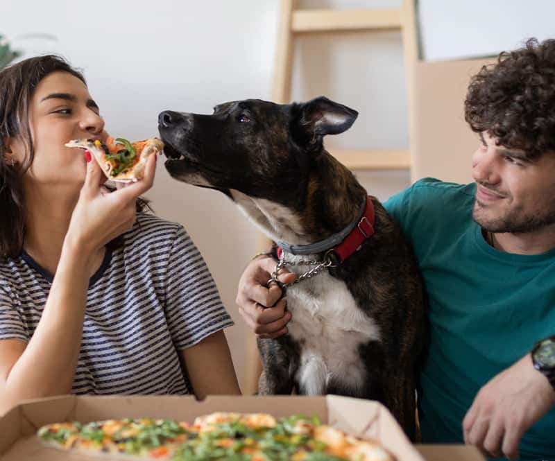 Desjardins: REER, CELI ou CELIAPP... Lequel choisir? | JDM