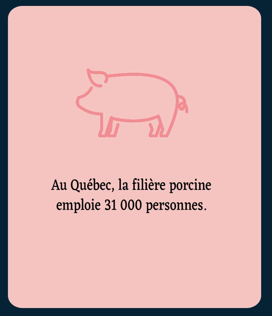 Des recettes savoureuses faciles à cuisiner pour (re)découvrir Le porc ...