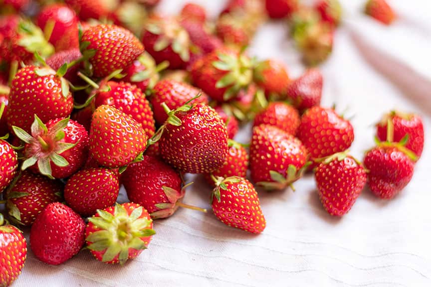Dossier sur les fraises | Recettes du Québec