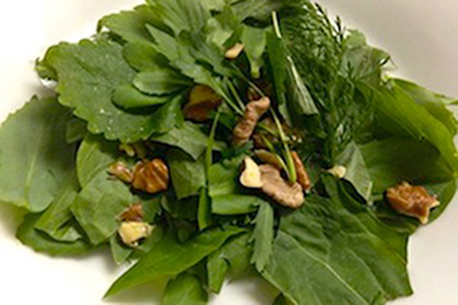 Salade de mesclun sauvage | Recettes du Québec