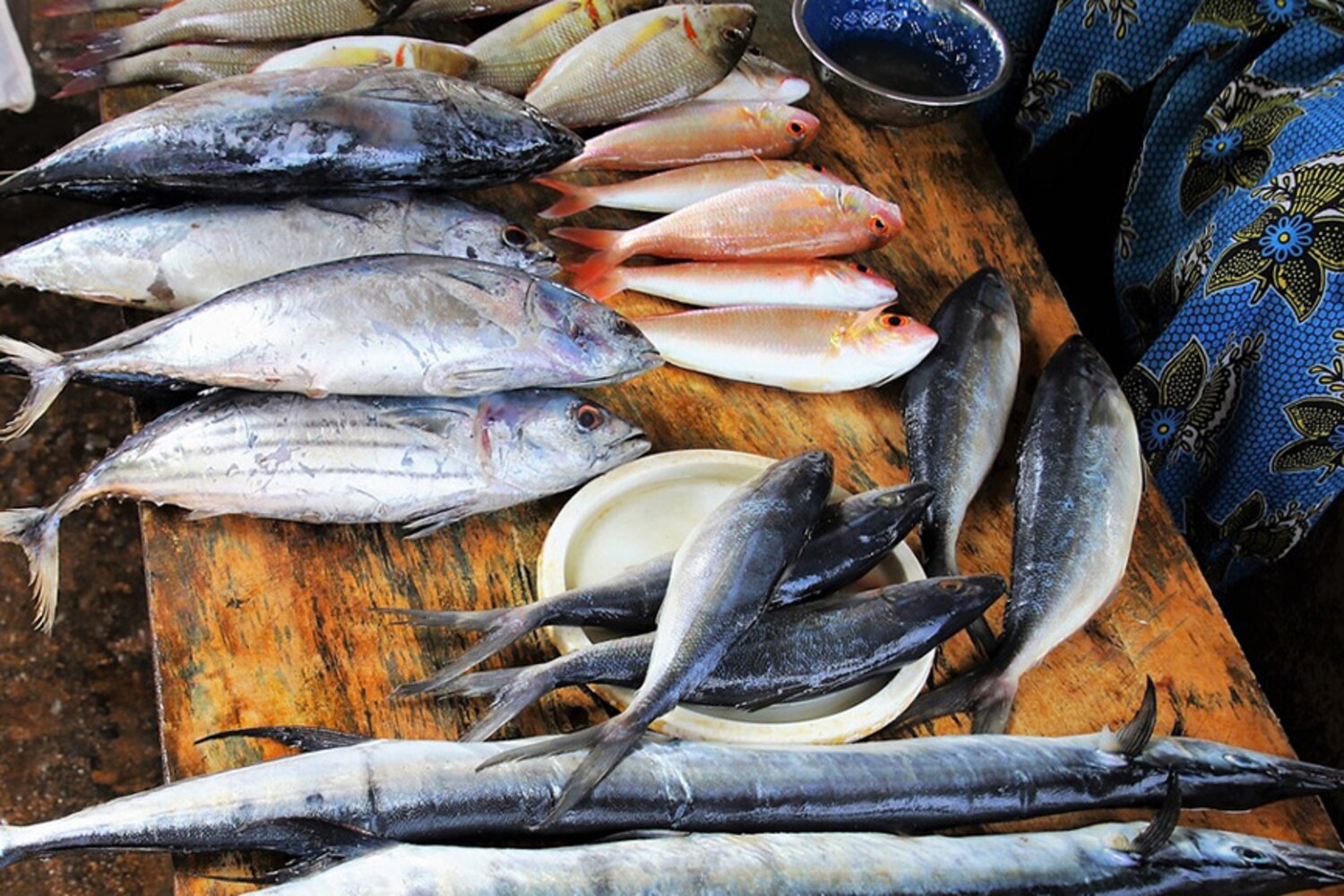 9 méthodes délicieuses pour cuisiner votre poisson | Recettes du Québec