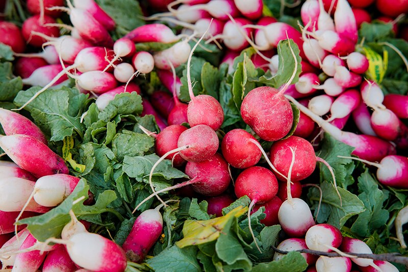 Cuisiner les légumes, herbes et fruits du Québec | Recettes du Québec