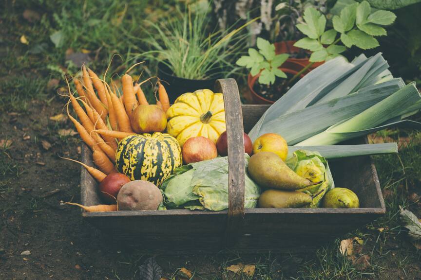 10 légumes d’automne et leurs bienfaits | Recettes du Québec